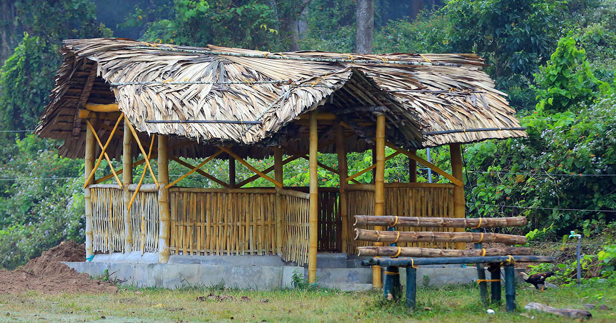 Jungle Resorts in Kerala | Muthanga Cottage| Stay in Wayanad